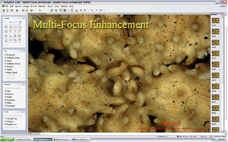 Imt Isolution Lite Download For Free Softdeluxe 4124