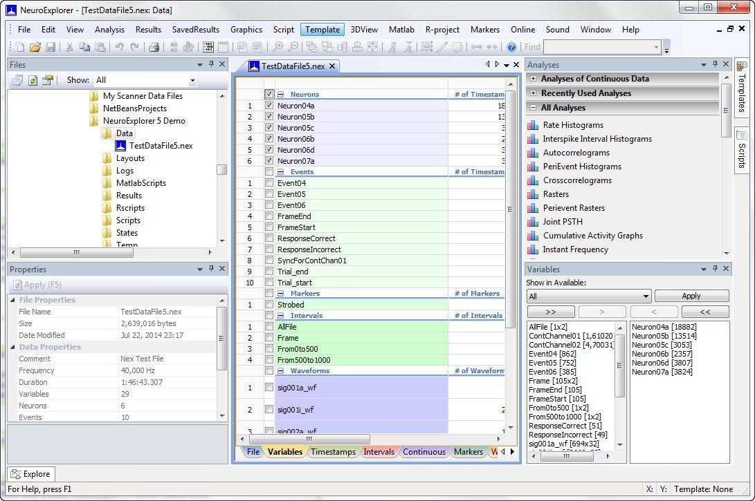 NeuroExplorer latest version - Get best Windows software